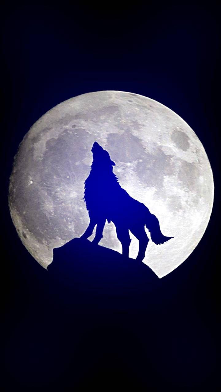 Wolf With Moon Wallpapers - Top Free Wolf With Moon Backgrounds ...
