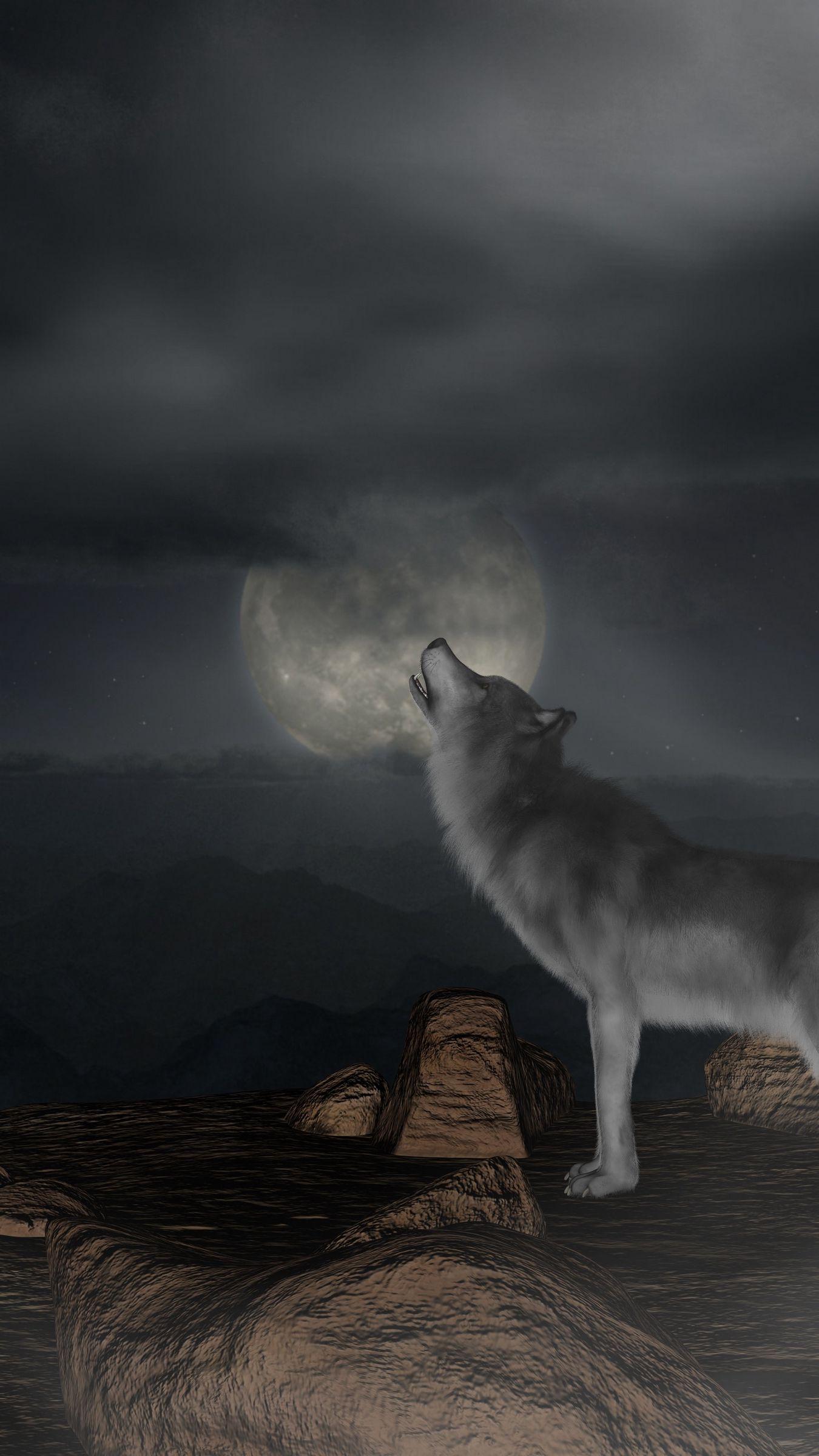 Wolf With Moon Wallpapers - Top Free Wolf With Moon Backgrounds ...