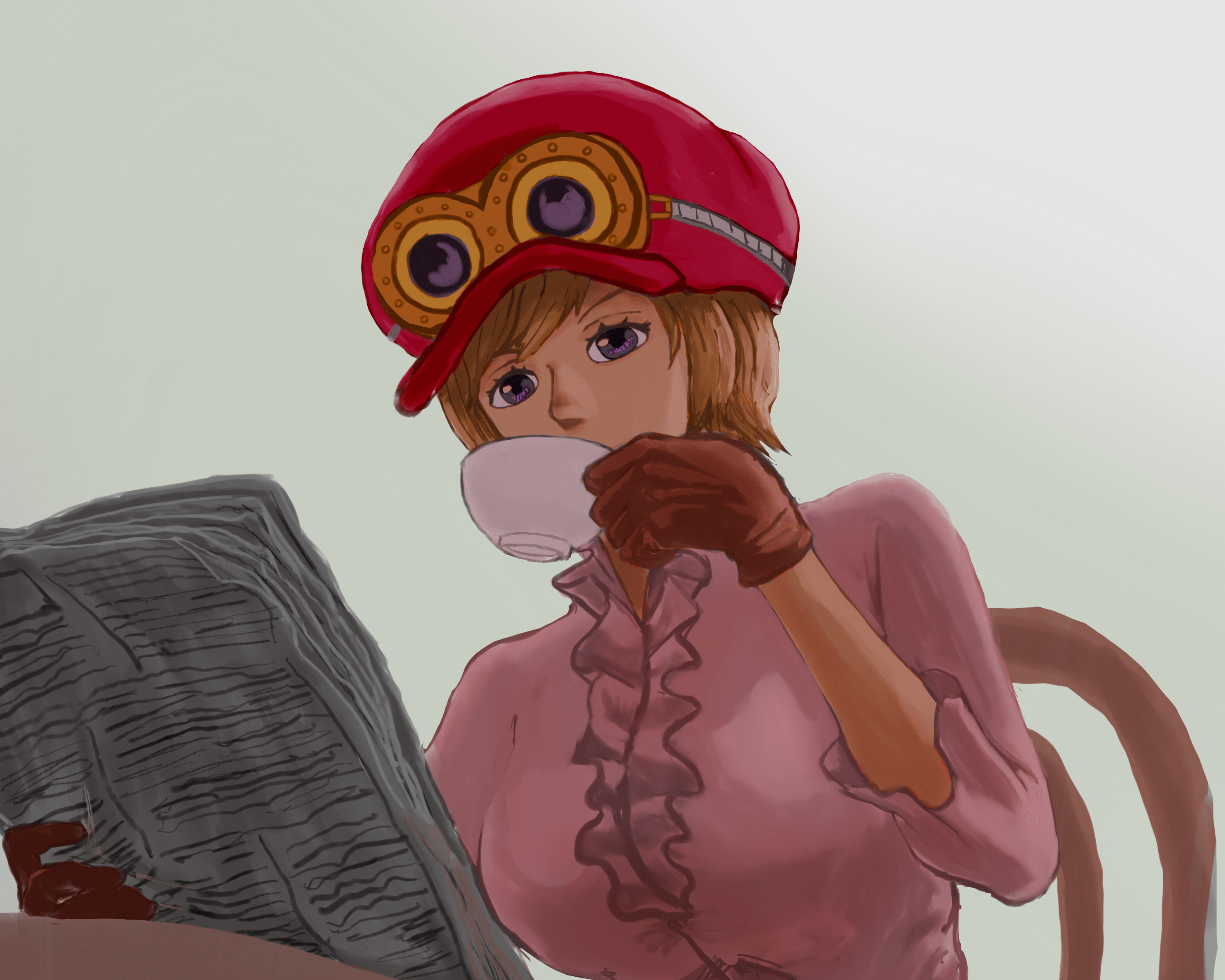 One Piece Koala and Sabo Wallpapers - Top Free One Piece Koala and Sabo ...