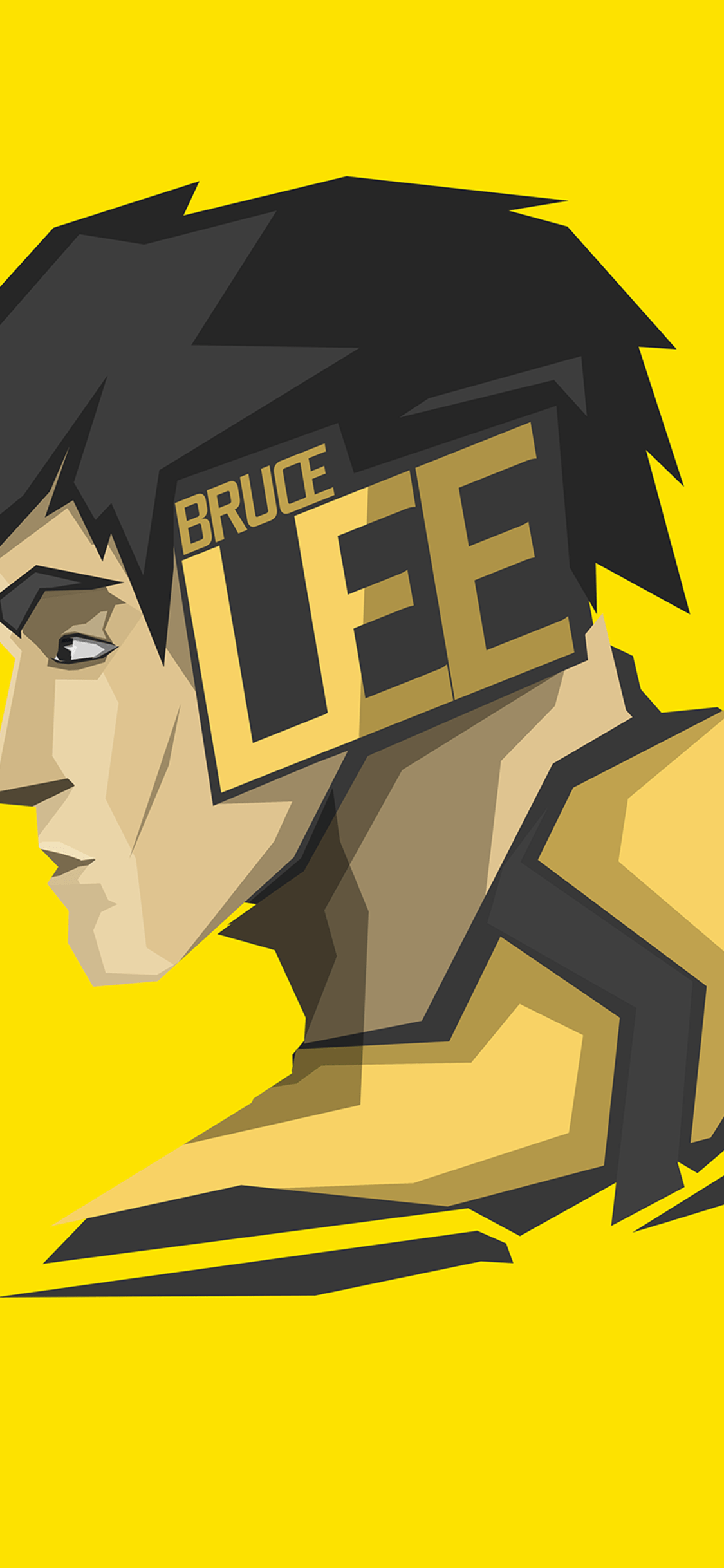 Bruce Lee Cartoon Wallpapers - Top Free Bruce Lee Cartoon Backgrounds ...