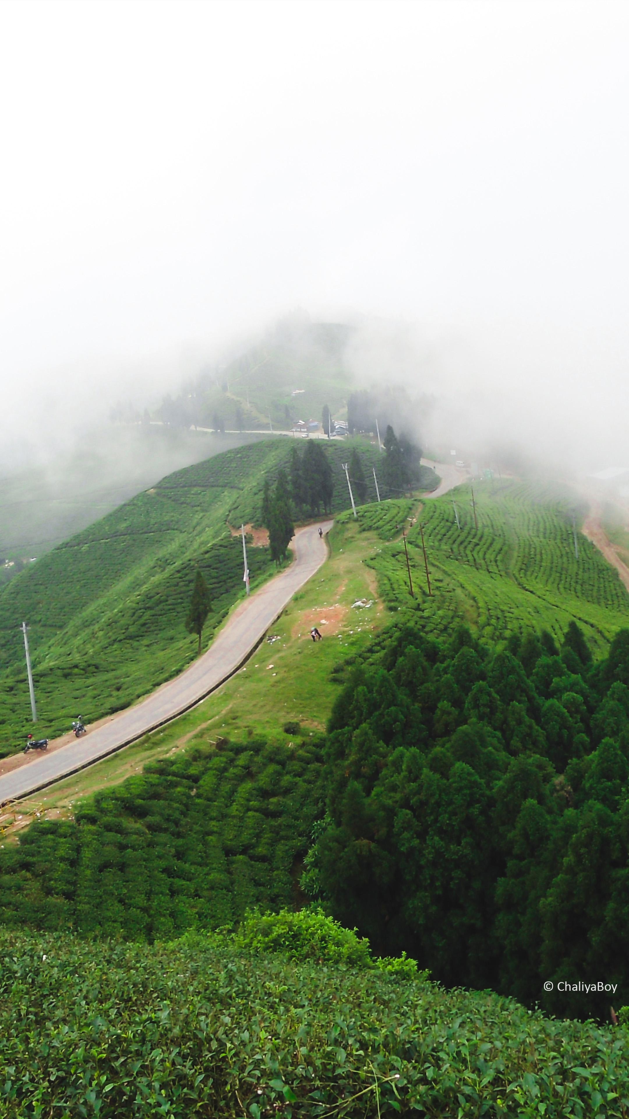 Nepal Forest Wallpapers - Top Free Nepal Forest Backgrounds ...
