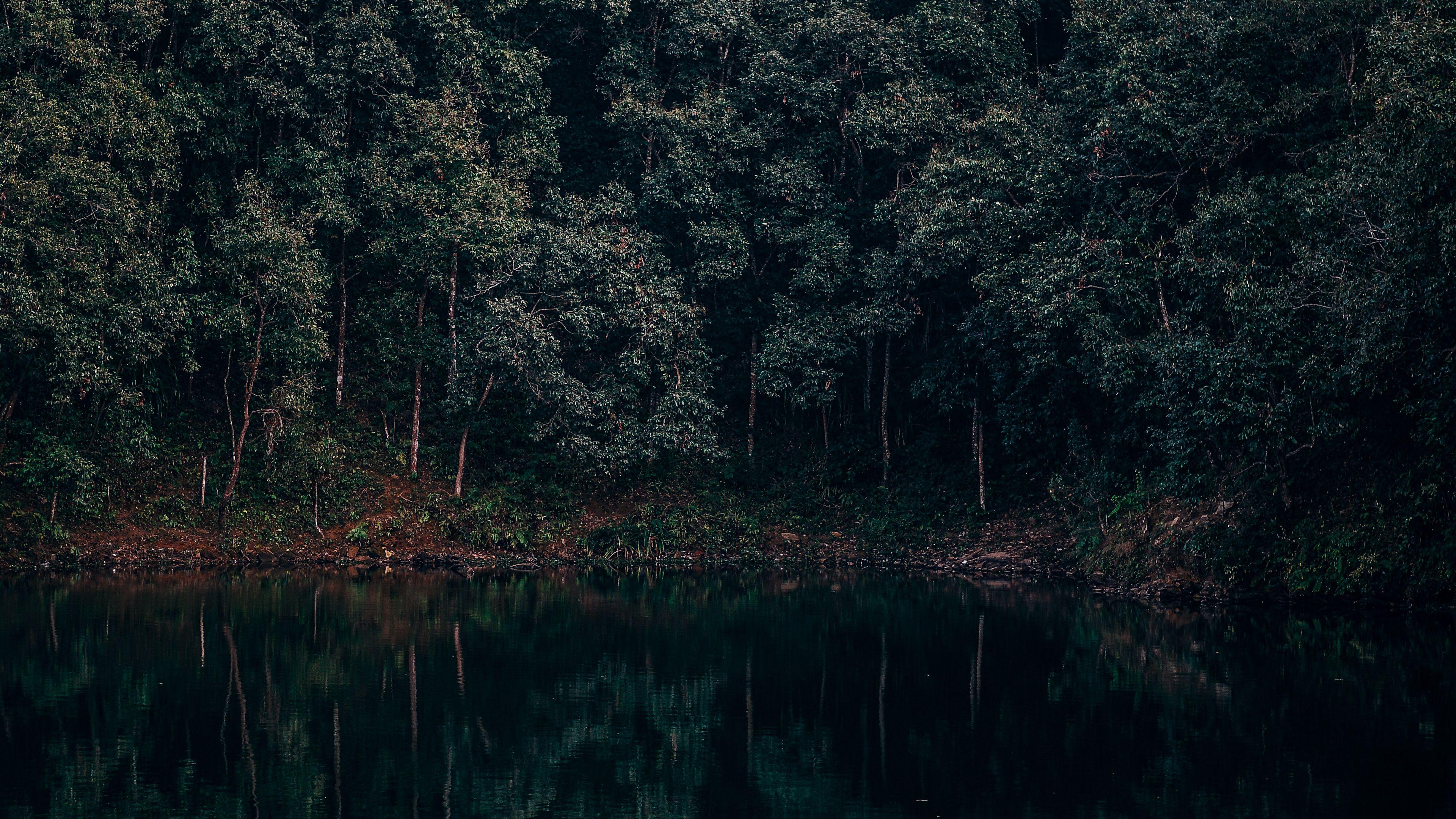 Nepal Forest Wallpapers - Top Free Nepal Forest Backgrounds ...