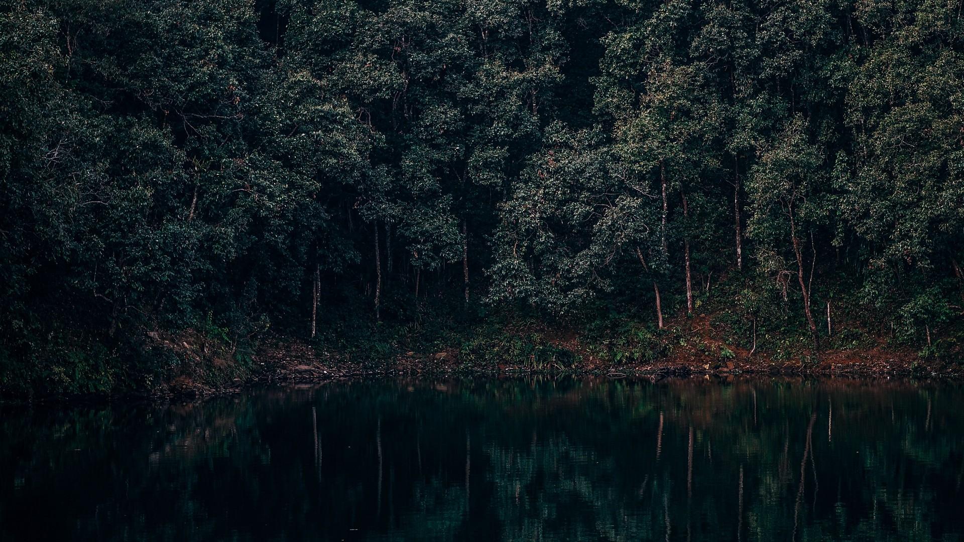 Nepal Forest Wallpapers - Top Free Nepal Forest Backgrounds ...
