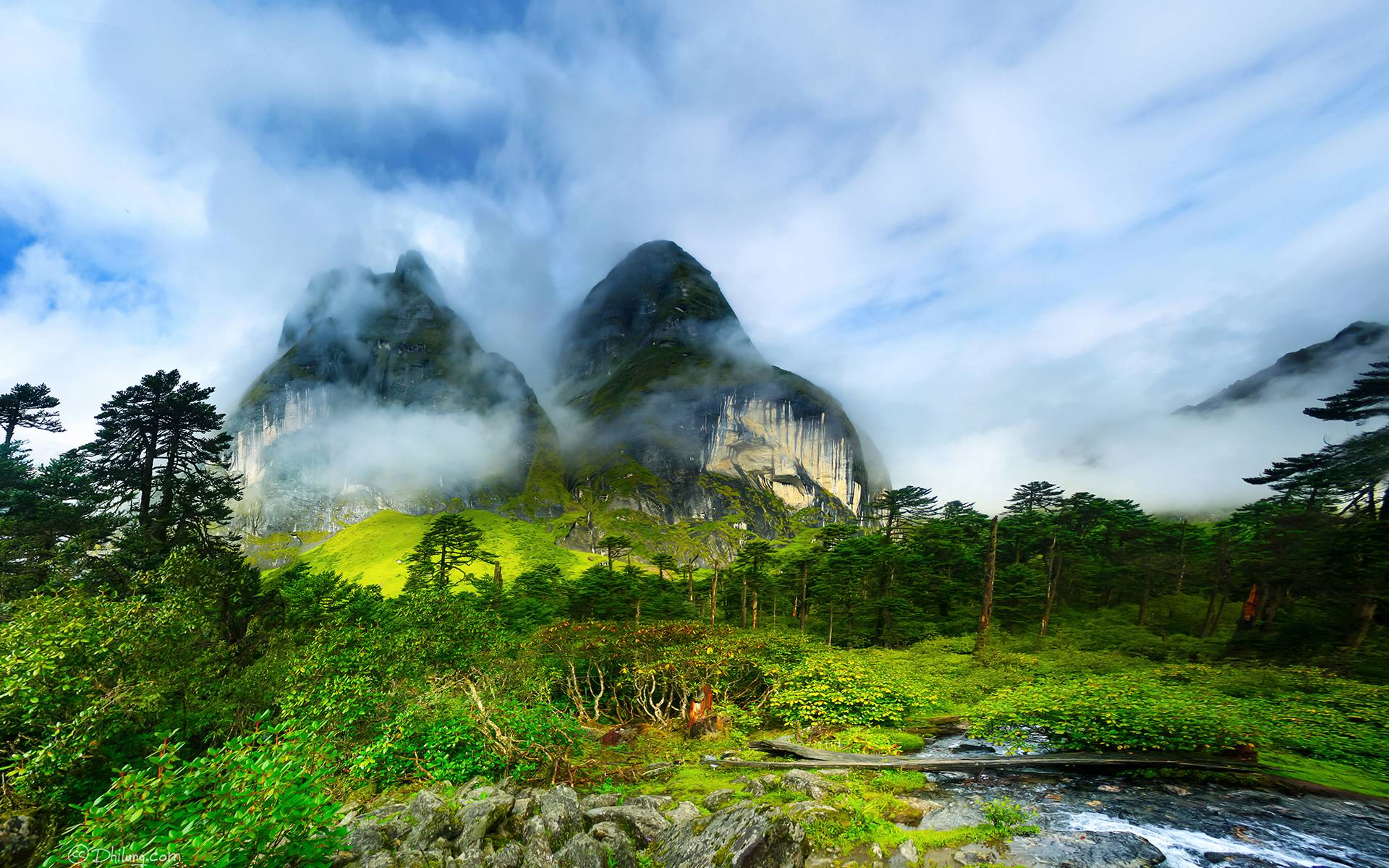 Nepal Forest Wallpapers - Top Free Nepal Forest Backgrounds ...
