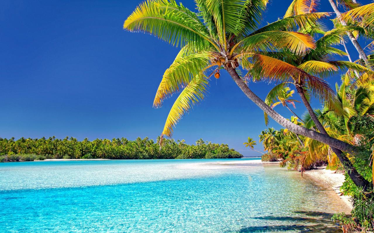 1280X800 Beach Wallpapers - Top Free 1280X800 Beach Backgrounds ...