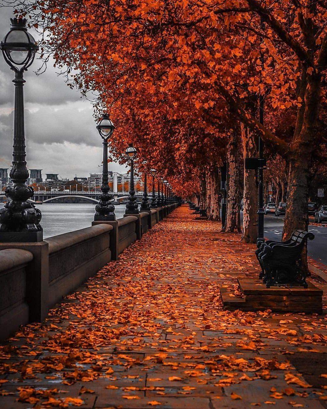 London Fall Wallpapers - Top Free London Fall Backgrounds - WallpaperAccess