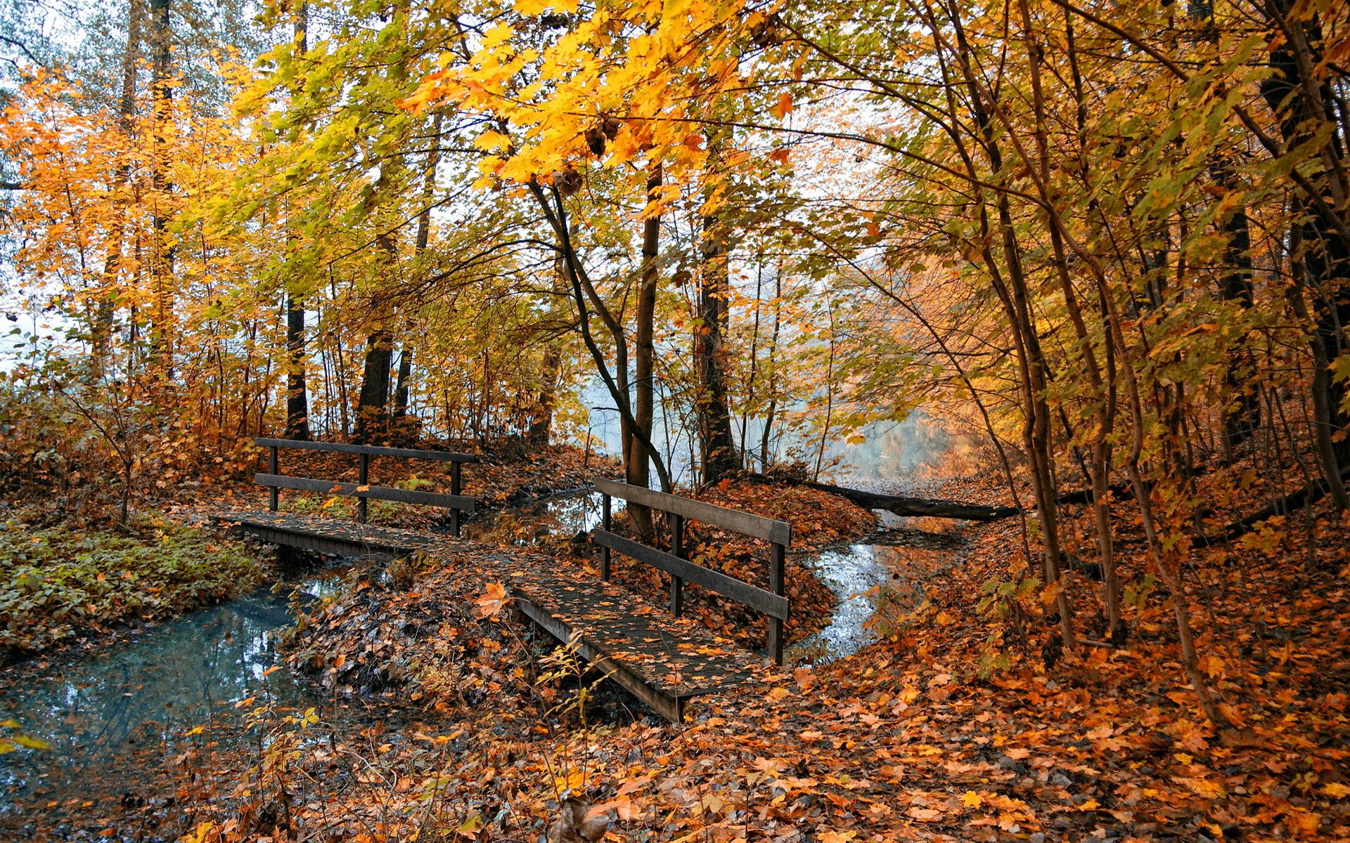 London Fall Wallpapers - Top Free London Fall Backgrounds - WallpaperAccess