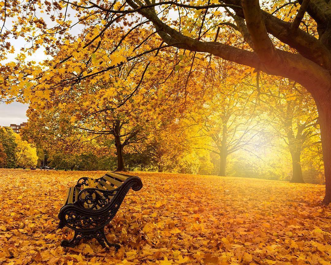 London Fall Wallpapers - Top Free London Fall Backgrounds - WallpaperAccess