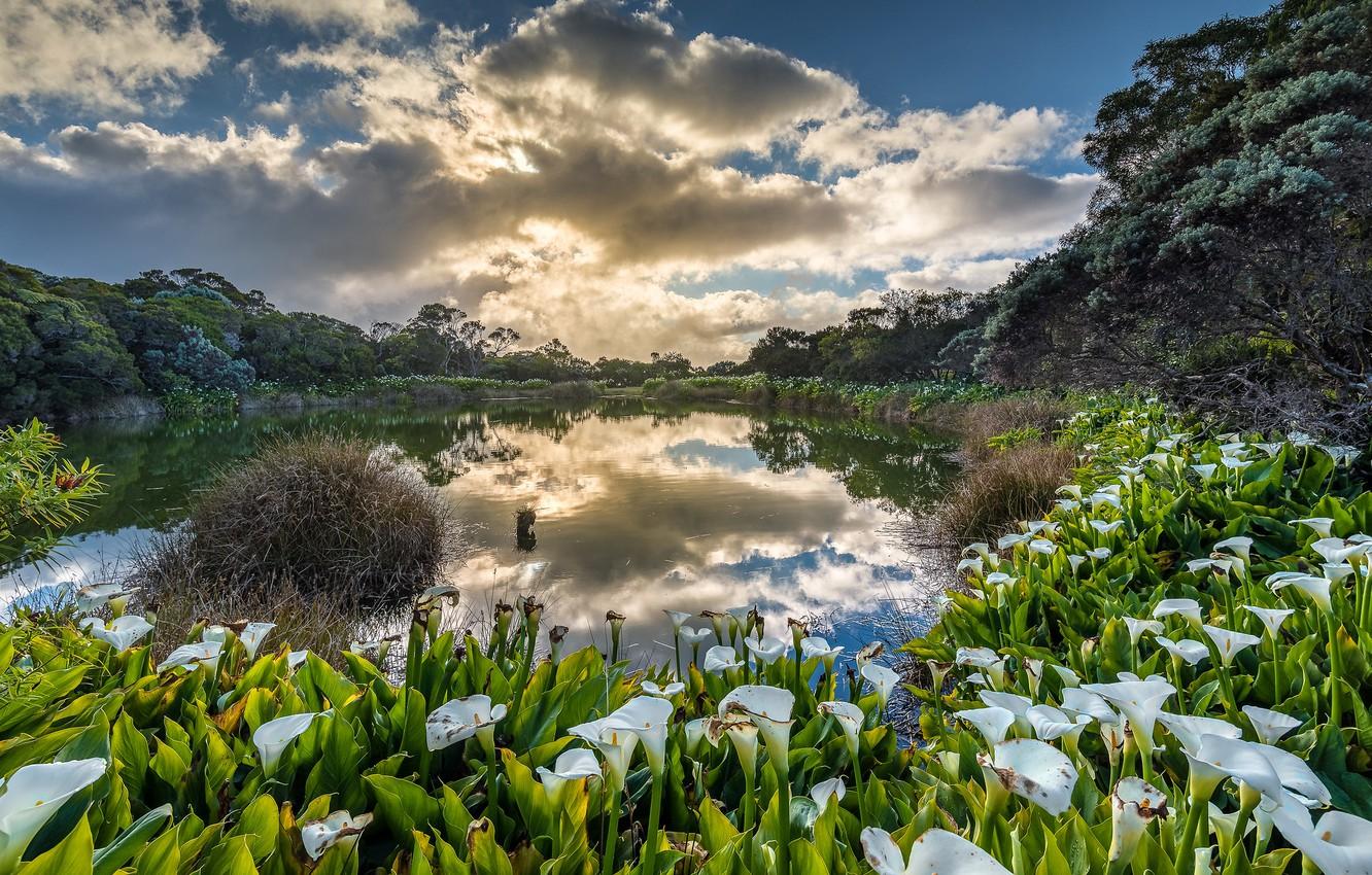 Reunion Island Wallpapers - Top Free Reunion Island Backgrounds ...