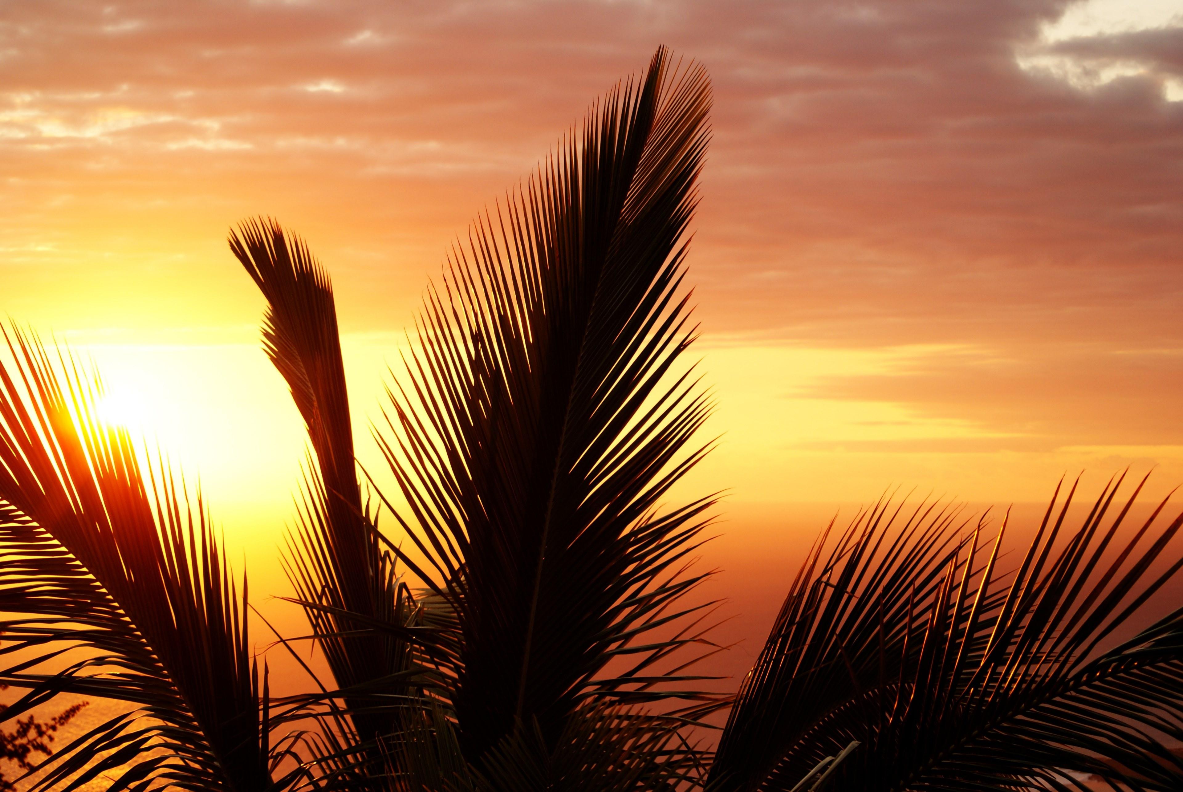 Reunion Island Wallpapers - Top Free Reunion Island Backgrounds ...