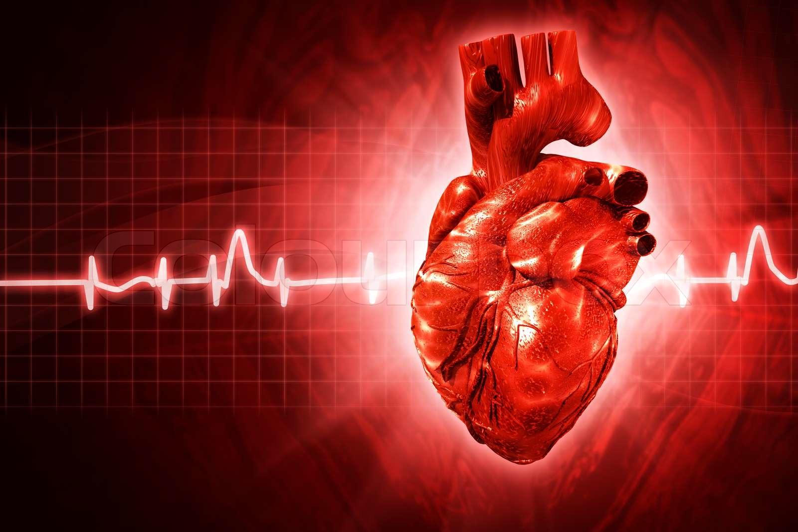 Human Heart HD Wallpapers - Top Free Human Heart HD Backgrounds ...