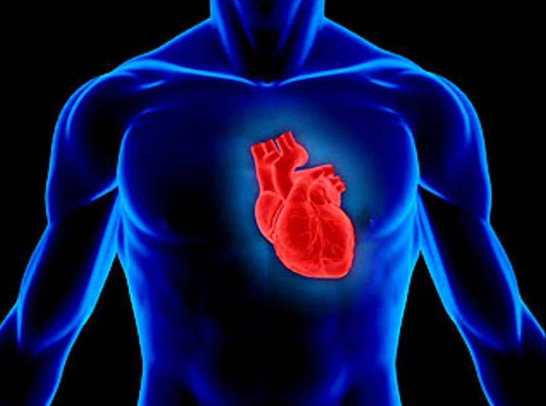 Human Heart HD Wallpapers - Top Free Human Heart HD Backgrounds ...