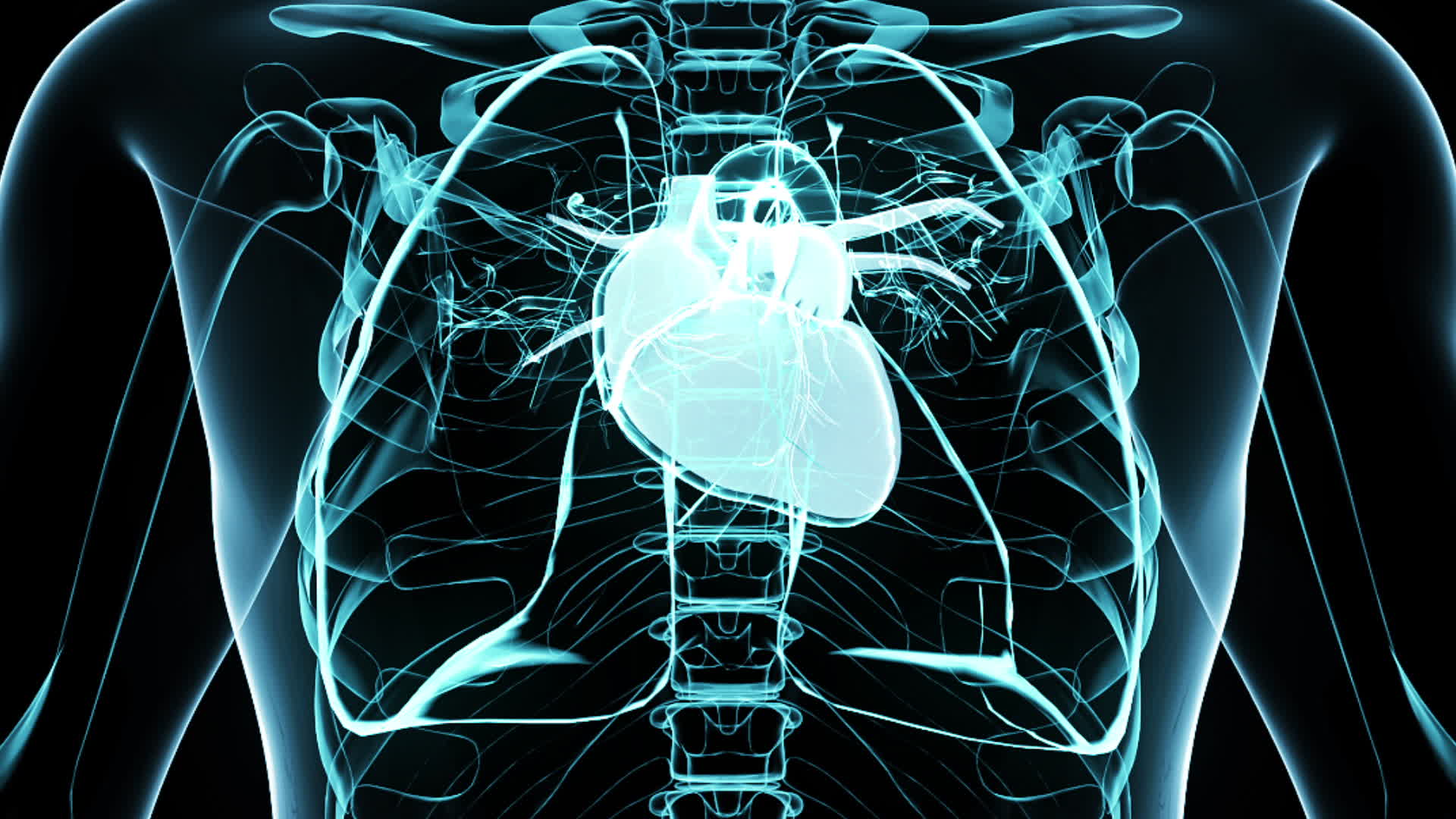 Human Heart HD Wallpapers - Top Free Human Heart HD Backgrounds ...