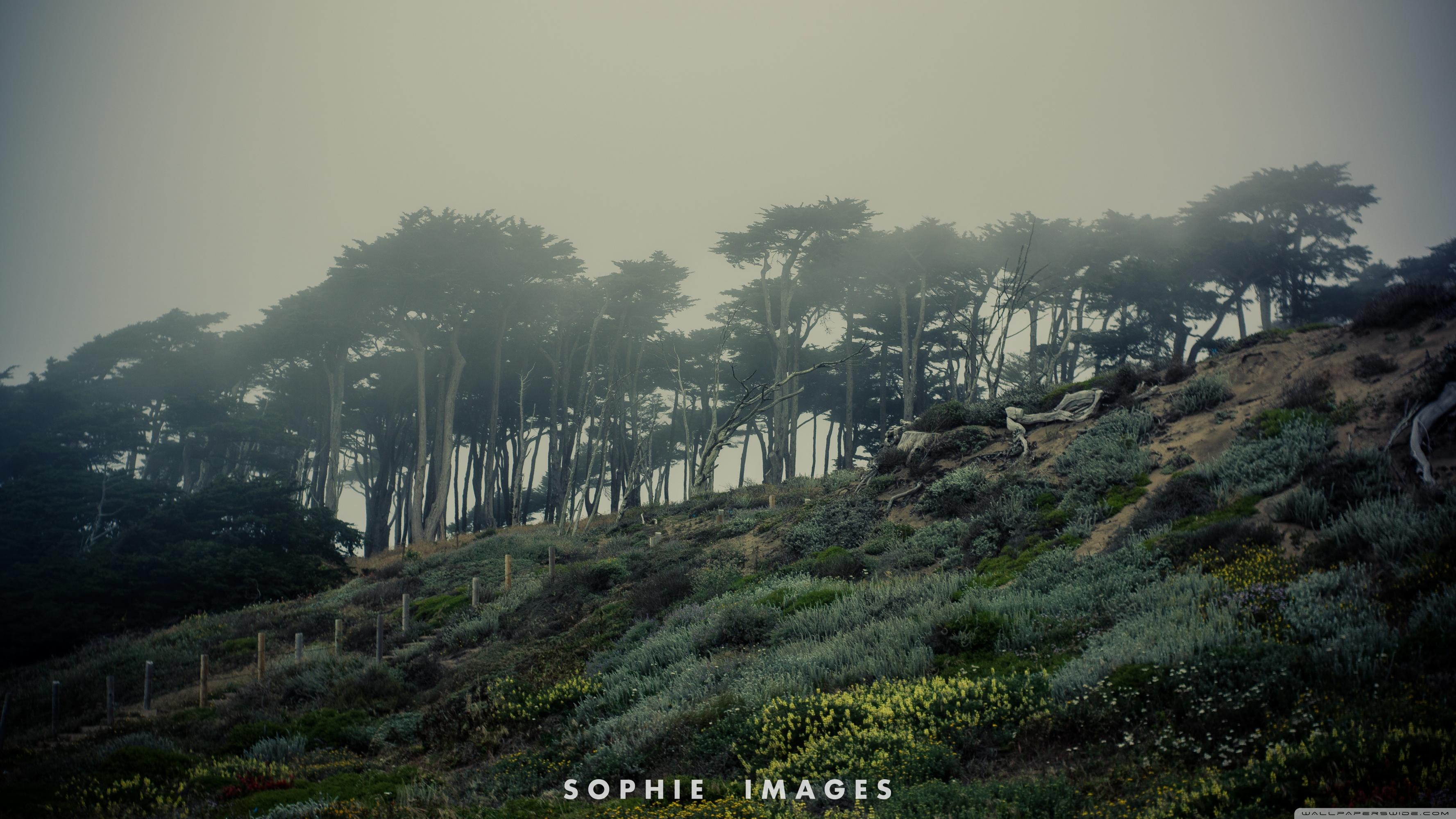 Gloomy Desktop Wallpapers - Top Free Gloomy Desktop Backgrounds ...