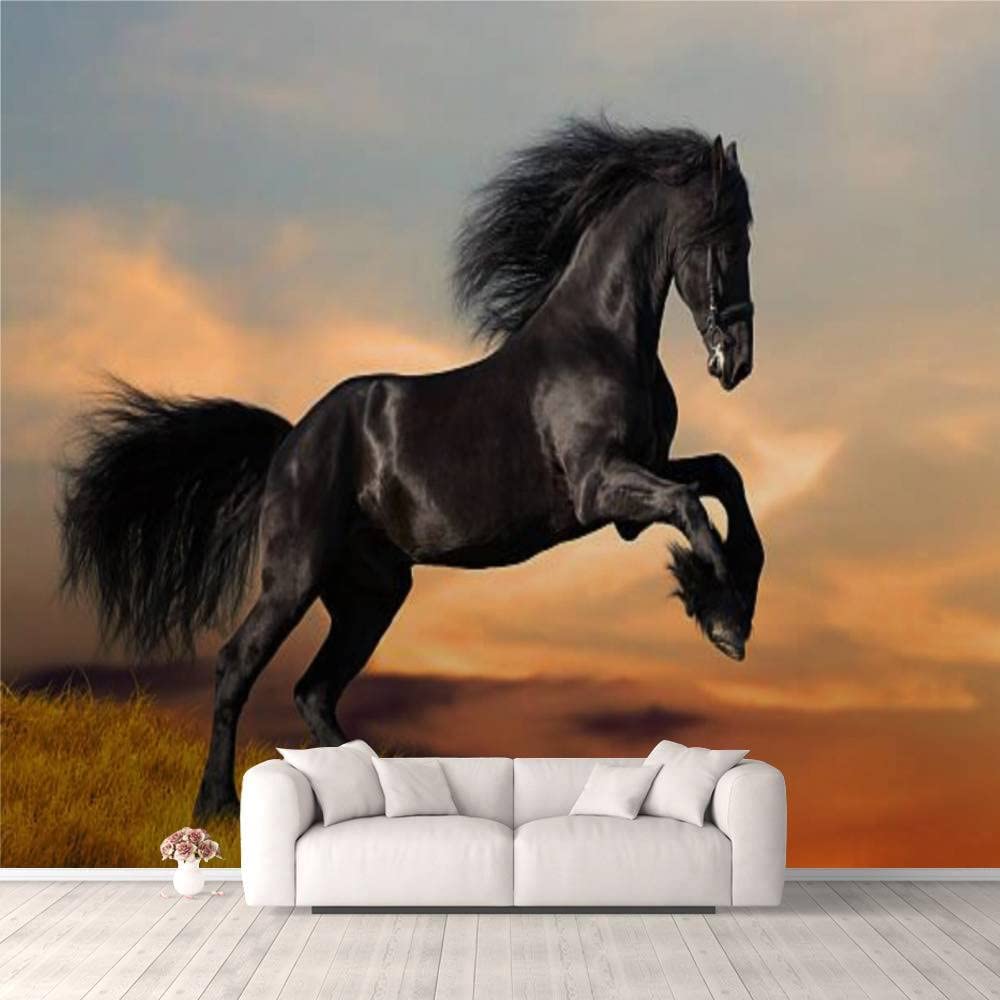 Black Friesian Horse Wallpapers - Top Free Black Friesian Horse ...