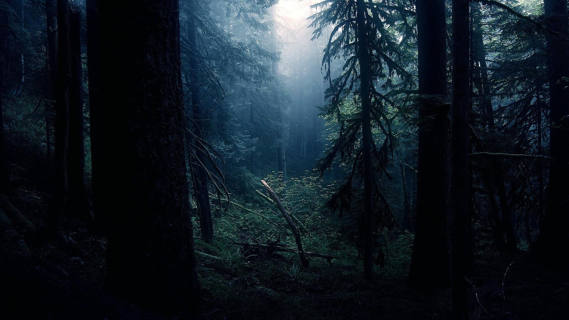 Gloomy Desktop Wallpapers - Top Free Gloomy Desktop Backgrounds ...