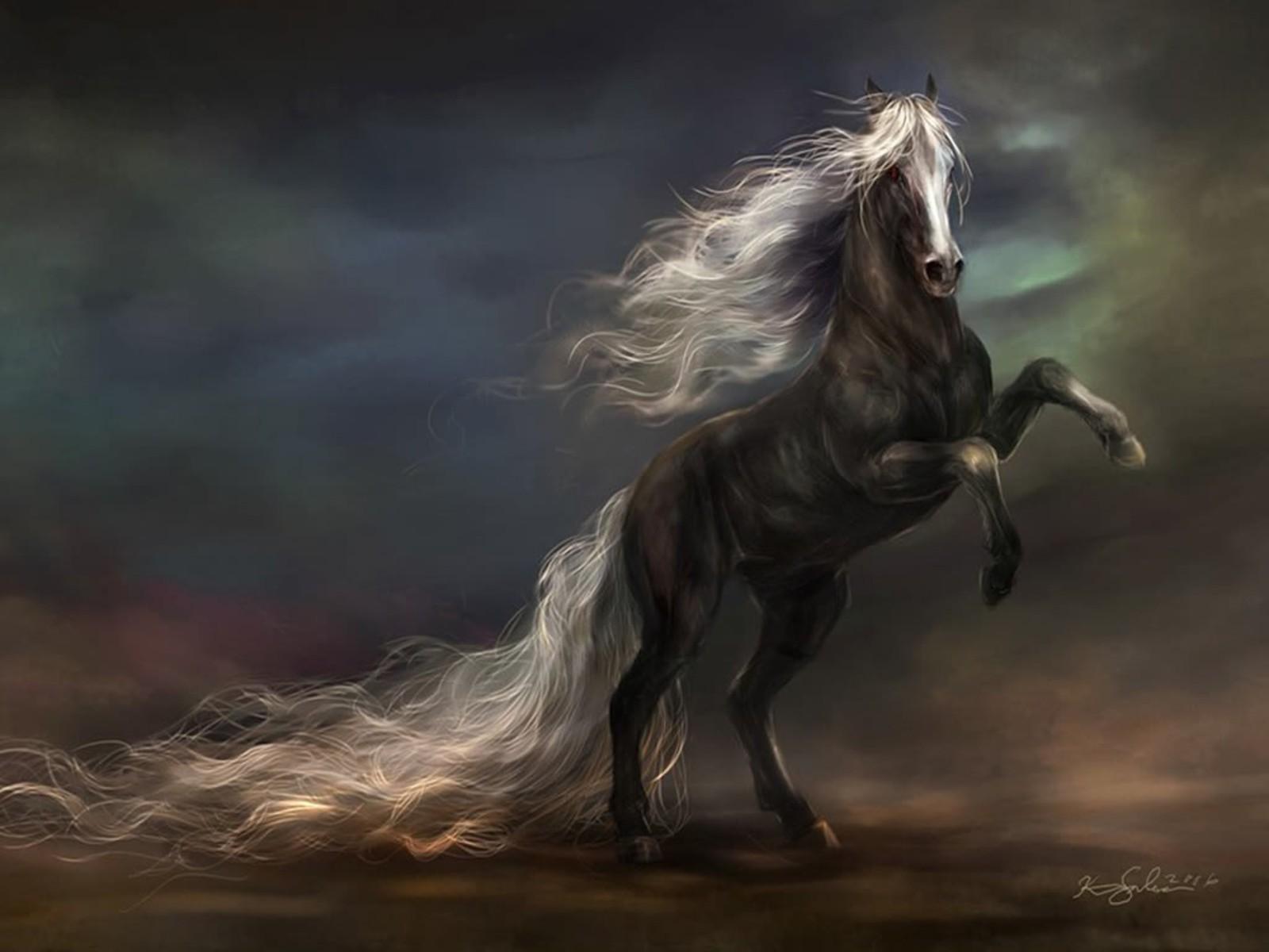Running White Horse Wallpapers - Top Free Running White Horse ...
