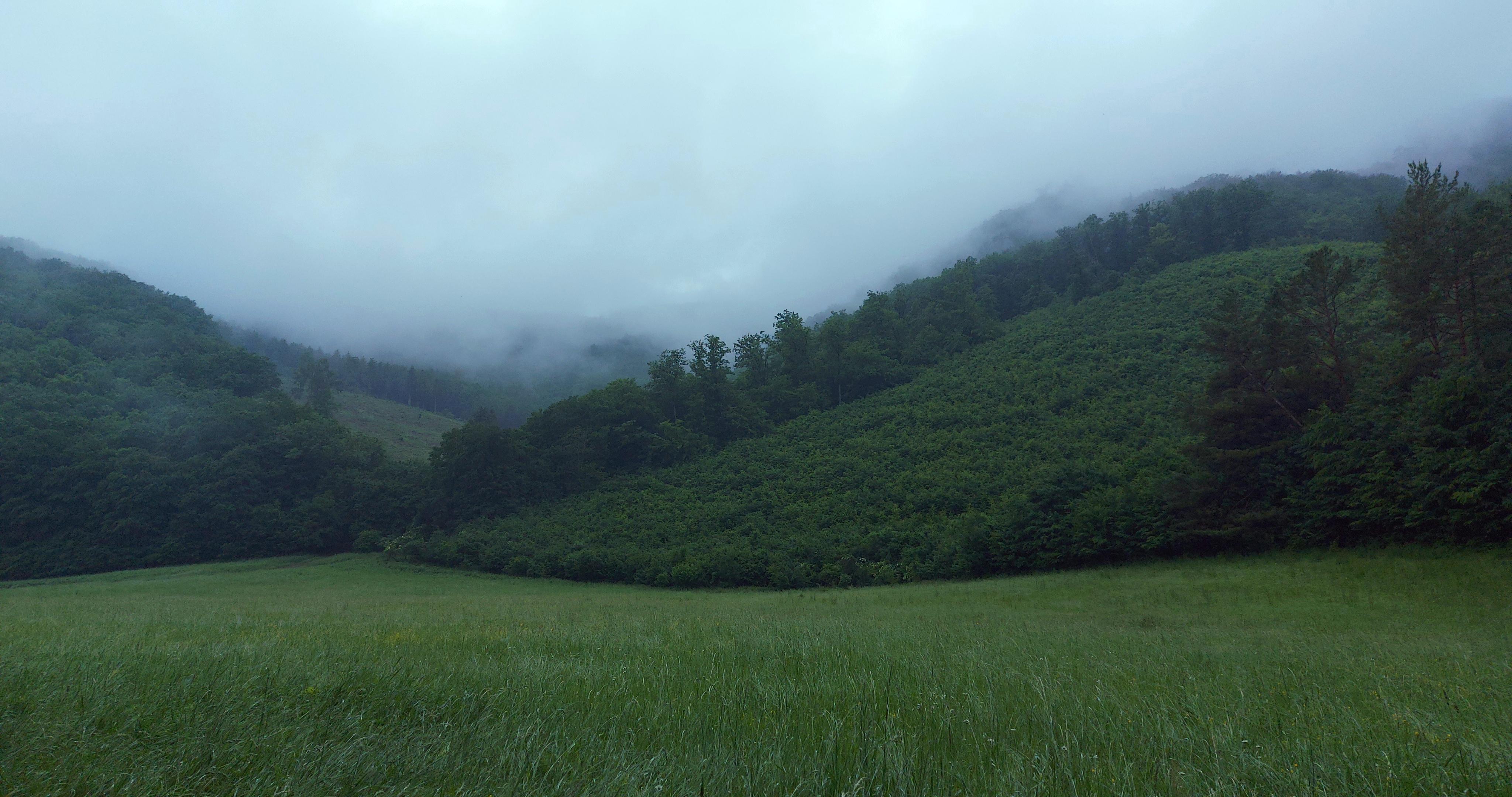 Gloomy Desktop Wallpapers - Top Free Gloomy Desktop Backgrounds ...