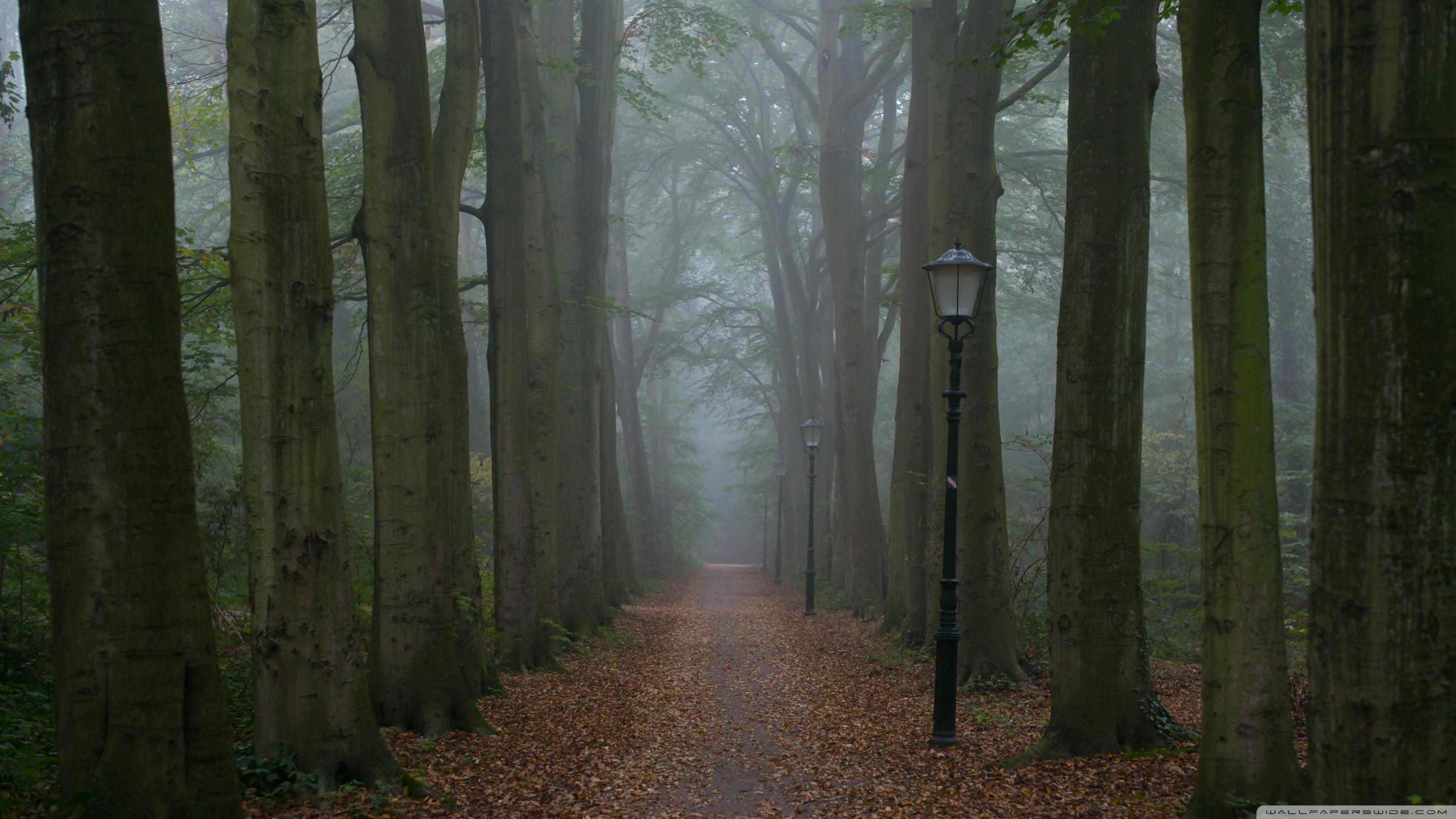 Gloomy Desktop Wallpapers - Top Free Gloomy Desktop Backgrounds ...