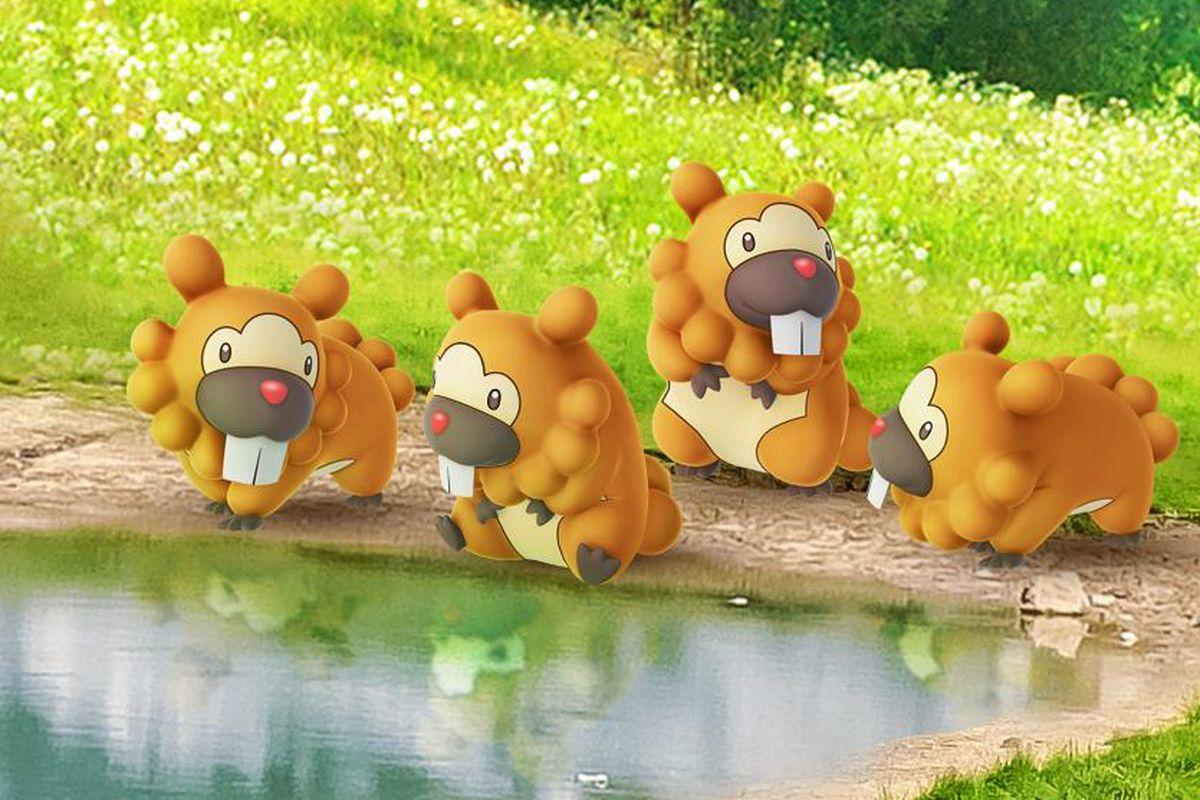 Bidoof Wallpapers - Top Free Bidoof Backgrounds - WallpaperAccess