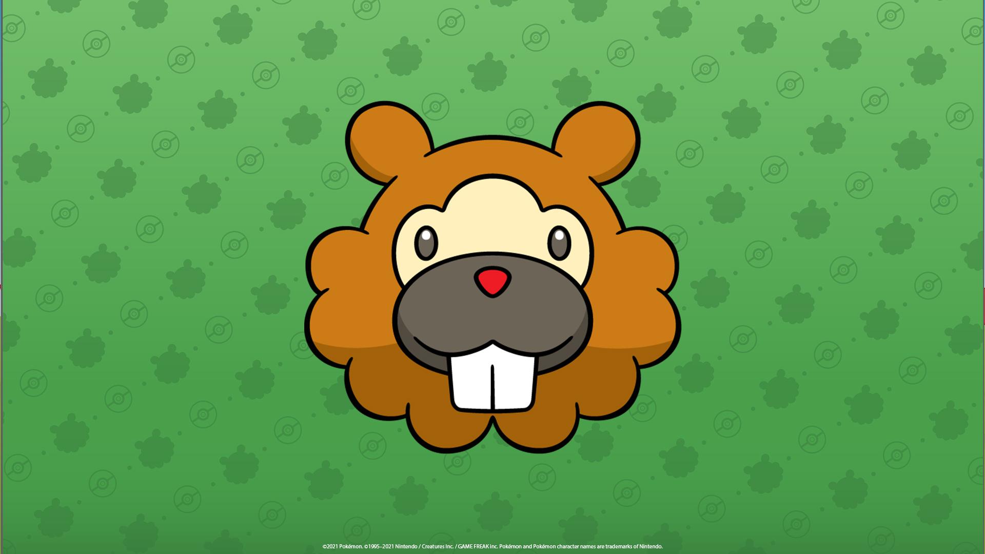 Bidoof Wallpapers - Top Free Bidoof Backgrounds - WallpaperAccess