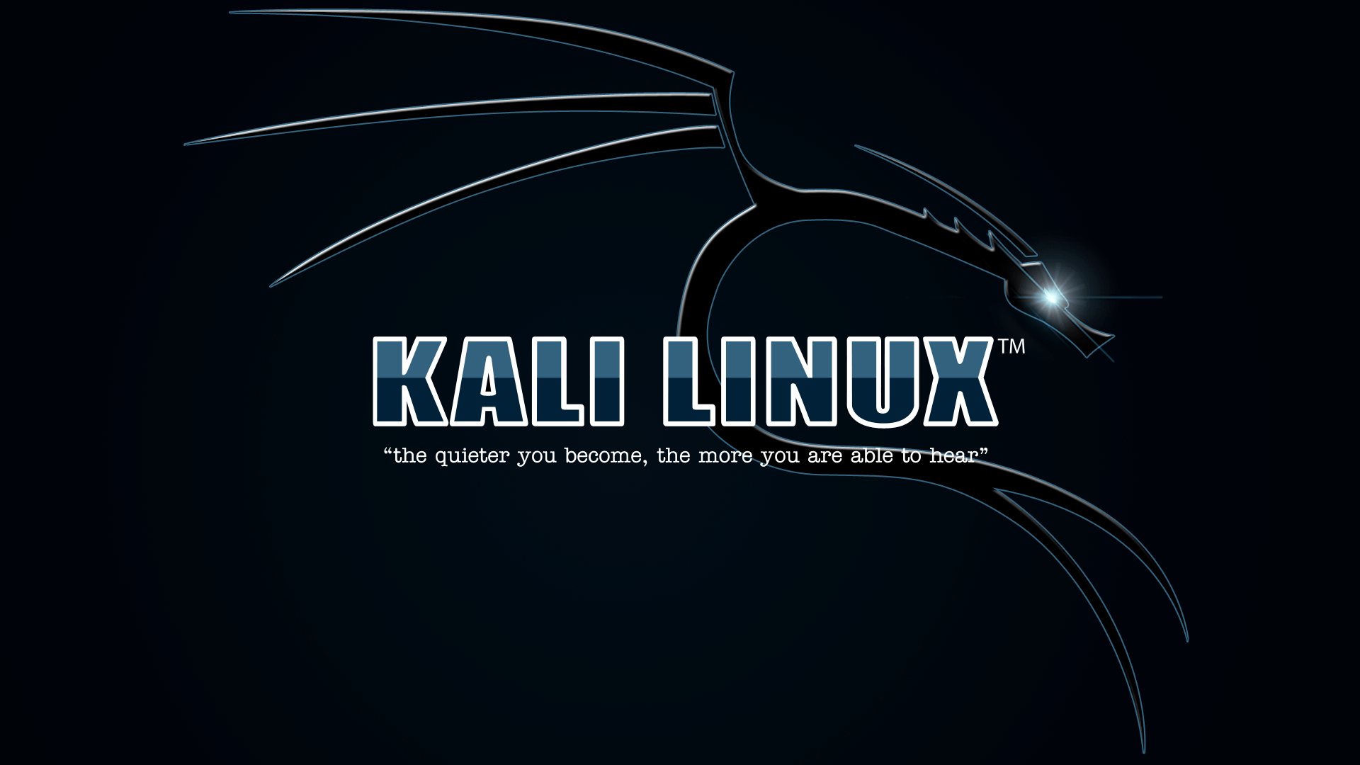Kali Nethunter Wallpapers - Top Free Kali Nethunter Backgrounds ...