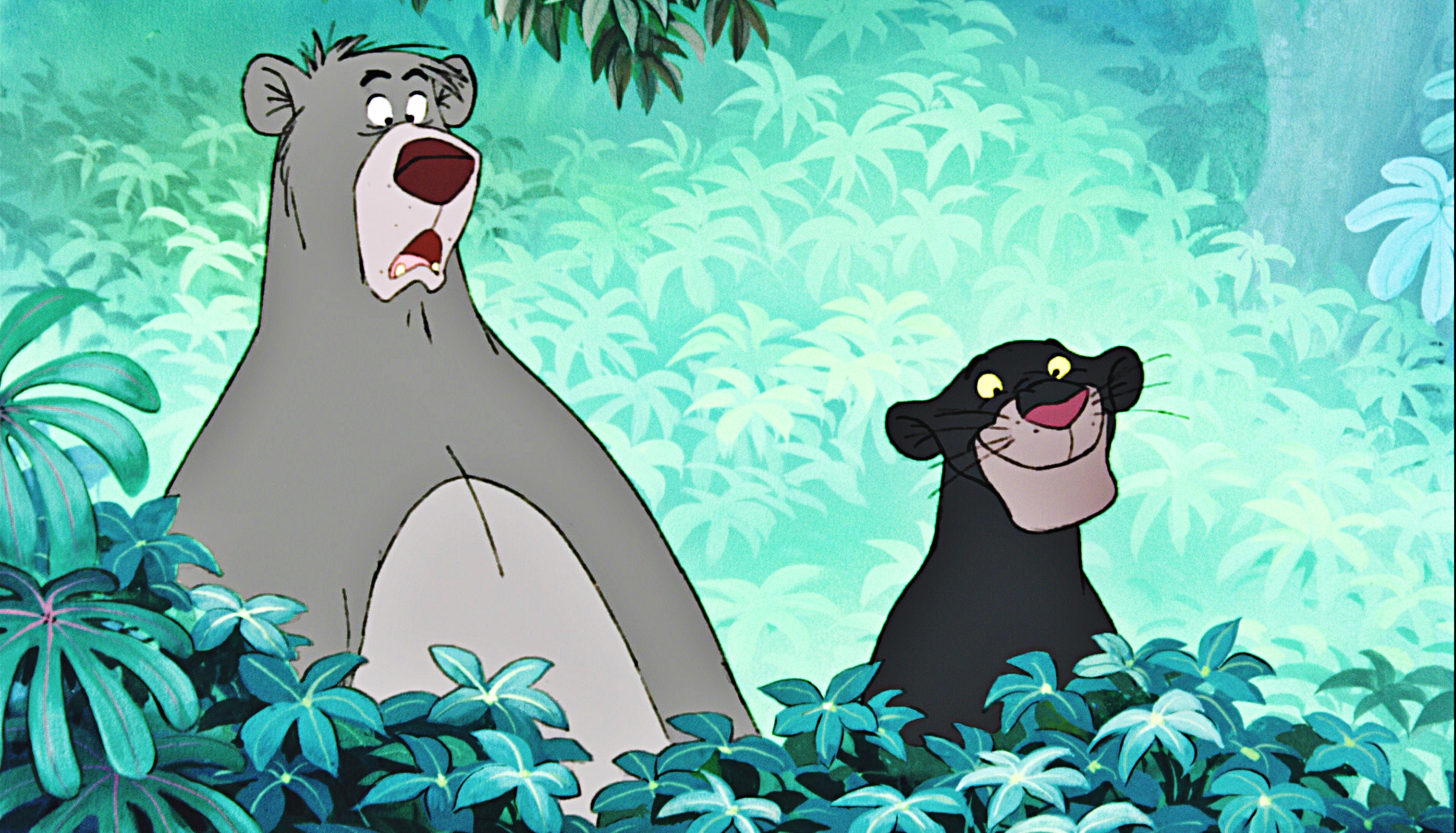 Baloo Wallpapers - Top Free Baloo Backgrounds - WallpaperAccess