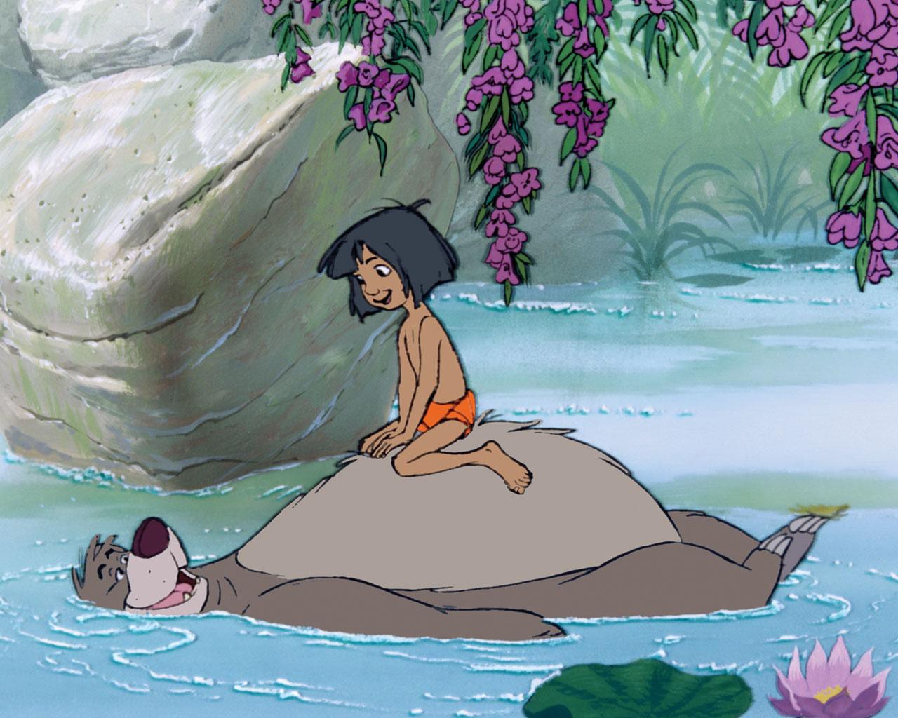 Baloo Wallpapers - Top Free Baloo Backgrounds - WallpaperAccess