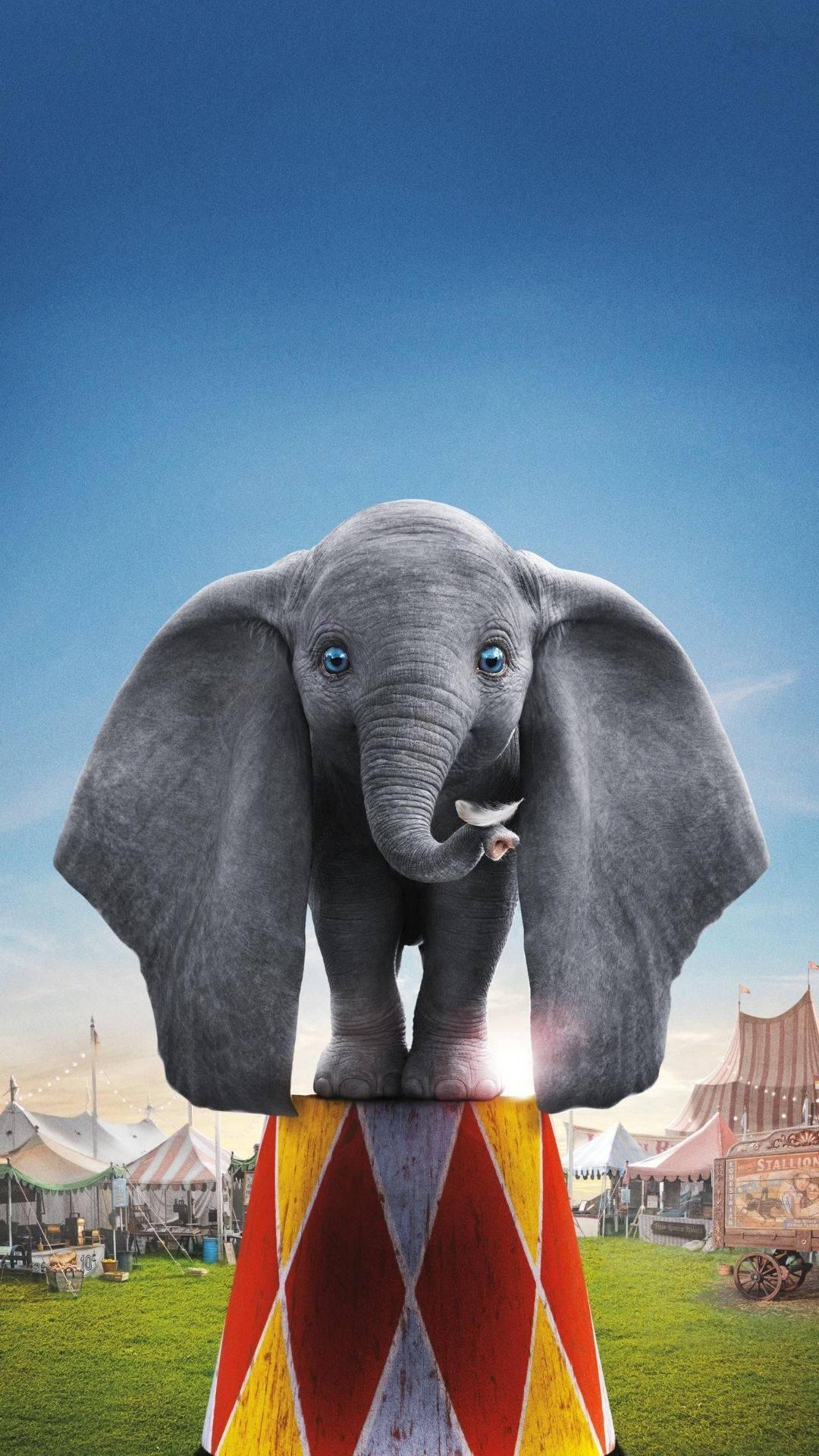 Dumbo HD Wallpapers - Top Free Dumbo HD Backgrounds - WallpaperAccess