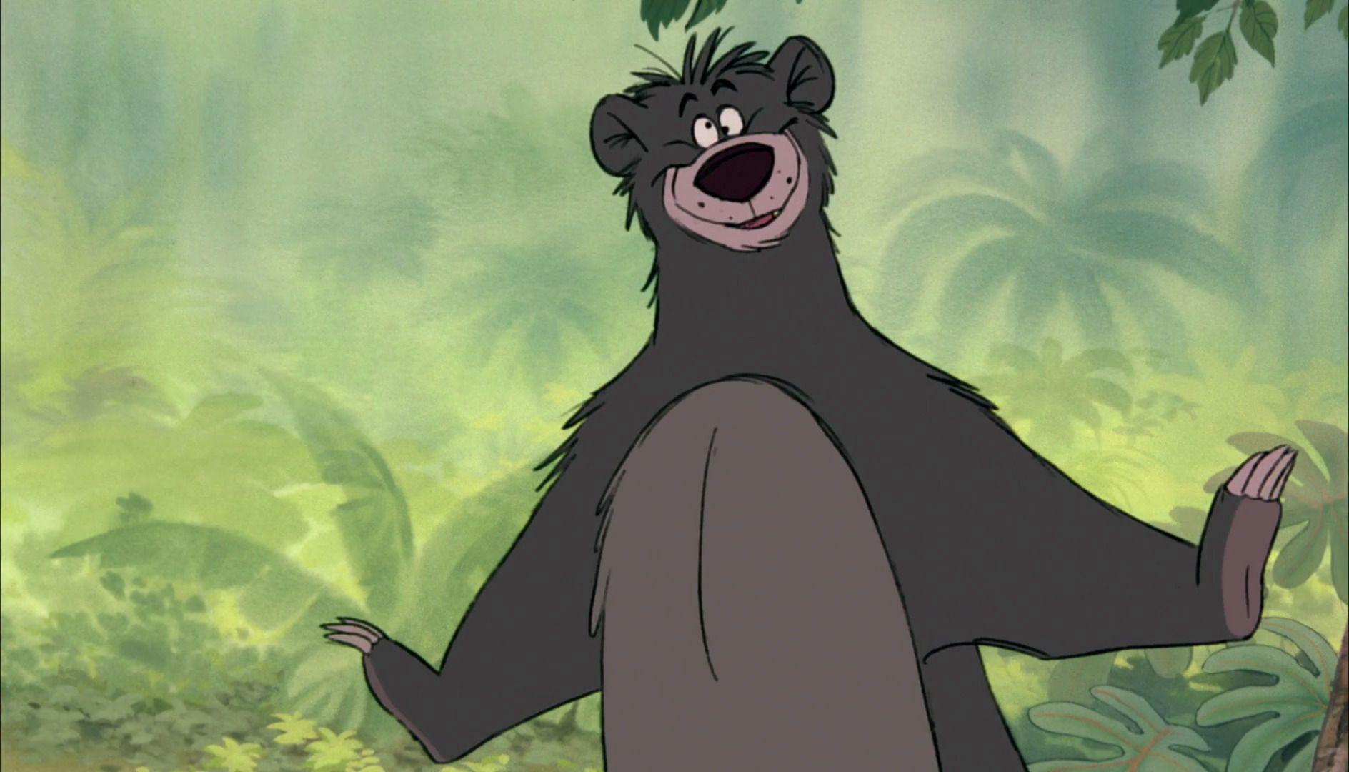 Baloo Wallpapers - Top Free Baloo Backgrounds - WallpaperAccess