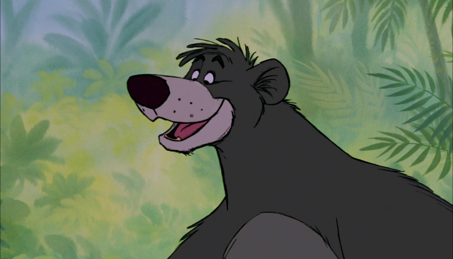 Baloo Wallpapers - Top Free Baloo Backgrounds - WallpaperAccess