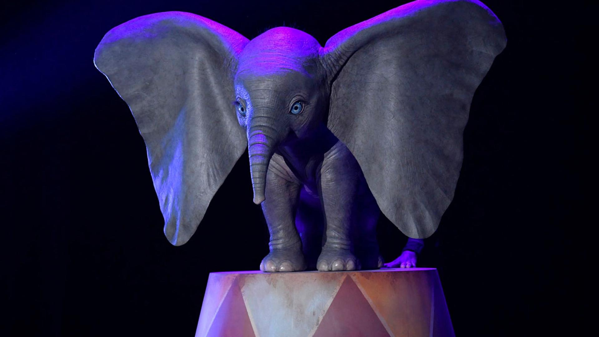Dumbo HD Wallpapers - Top Free Dumbo HD Backgrounds - WallpaperAccess