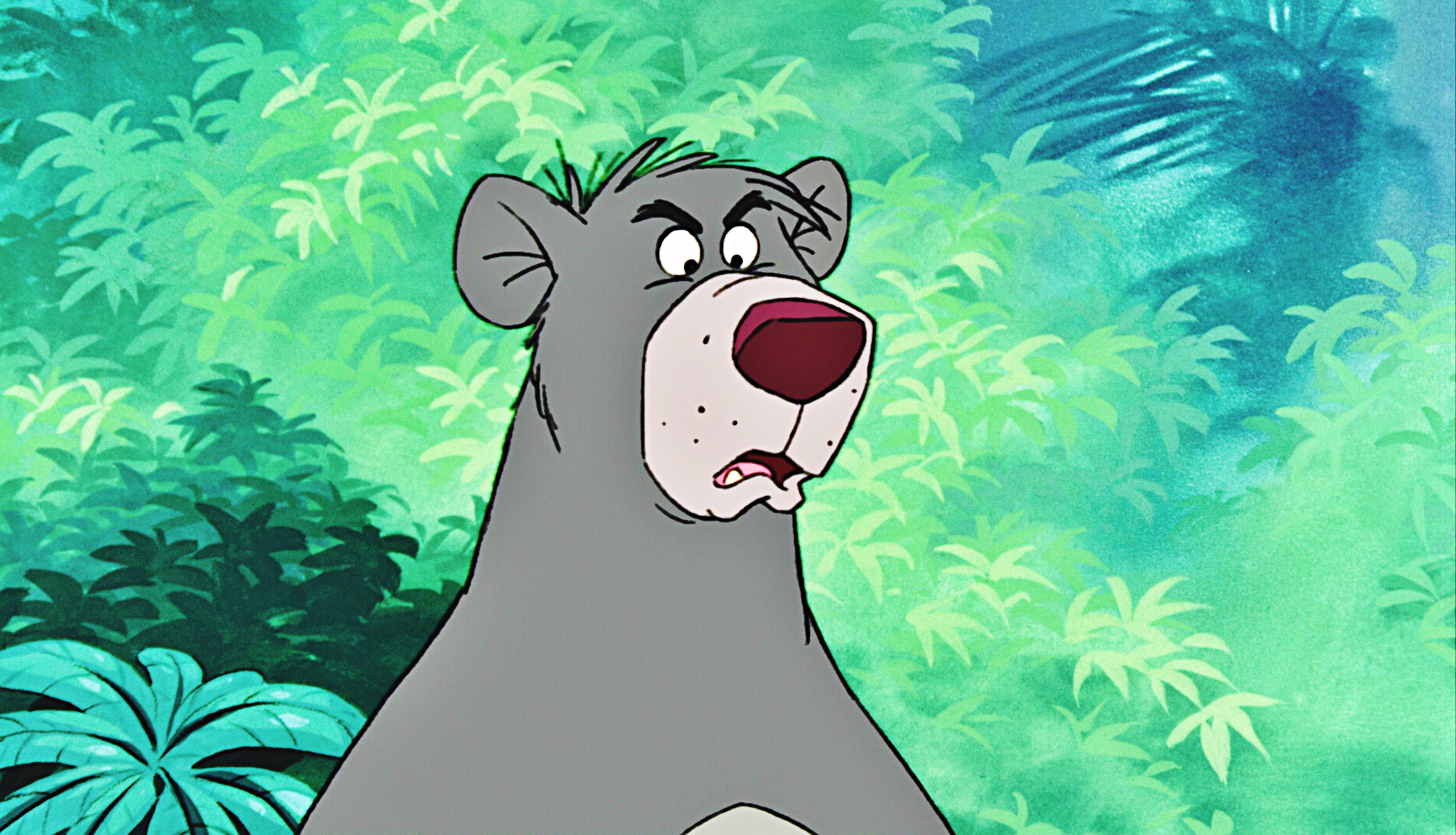 Baloo Wallpapers - Top Free Baloo Backgrounds - WallpaperAccess
