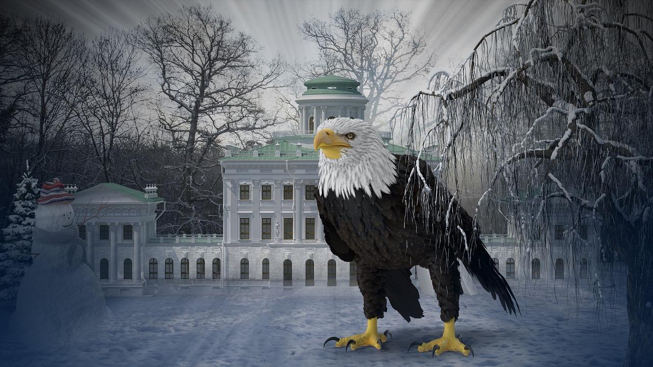 Eagle Winter Wallpapers - Top Free Eagle Winter Backgrounds - WallpaperAccess