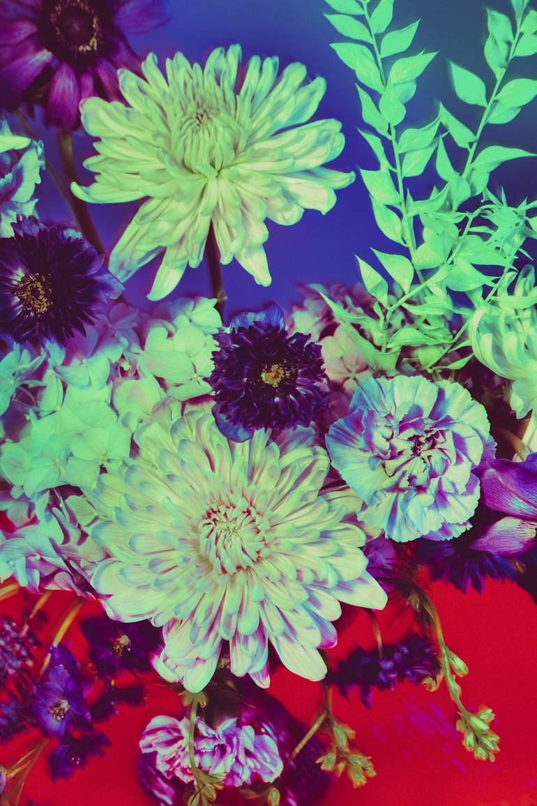 Chill Flower Wallpapers - Top Free Chill Flower Backgrounds ...