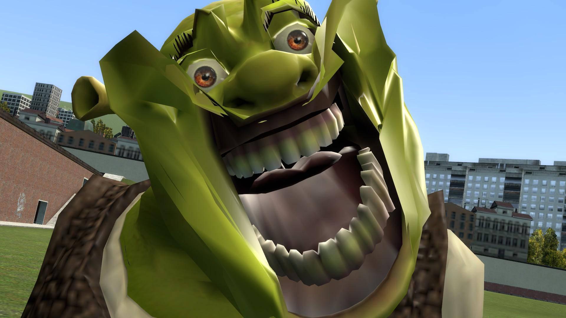Shrek Meme Wallpapers - Top Free Shrek Meme Backgrounds - WallpaperAccess