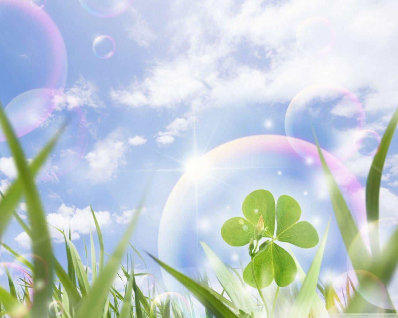 Lucky Desktop Wallpapers - Top Free Lucky Desktop Backgrounds ...