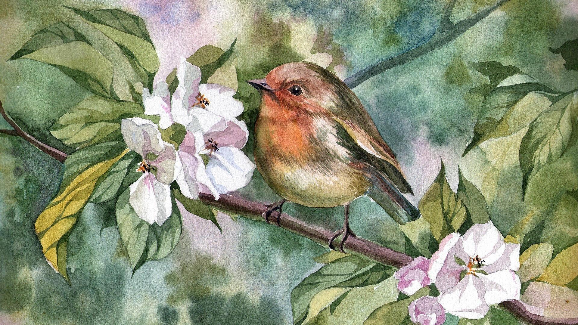 Watercolor Birds Wallpapers - Top Free Watercolor Birds Backgrounds ...