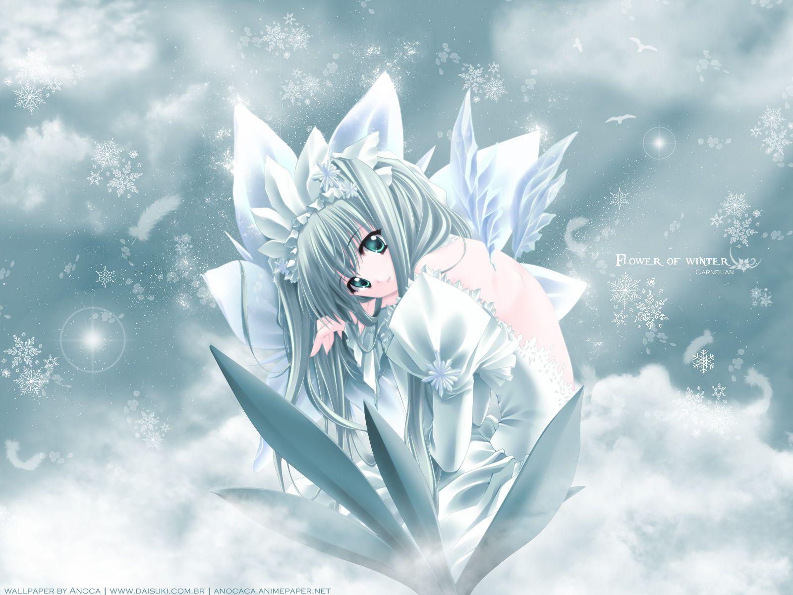 Winter Flower Anime Wallpapers - Top Free Winter Flower Anime ...