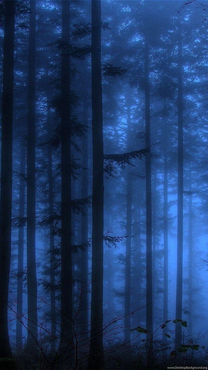 Dark Blue Forest Wallpapers - Top Free Dark Blue Forest Backgrounds ...