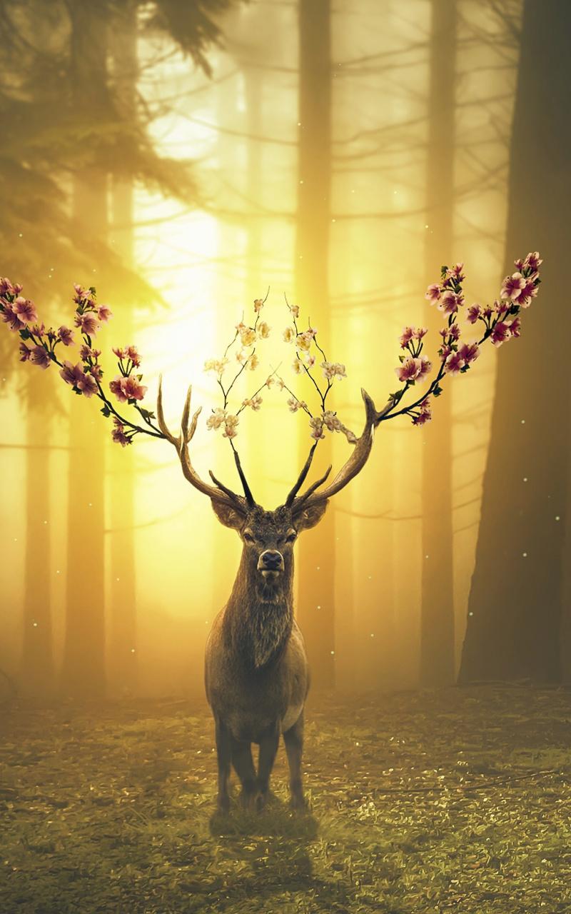 4K Galaxy Deer Wallpapers - Top Free 4K Galaxy Deer Backgrounds ...