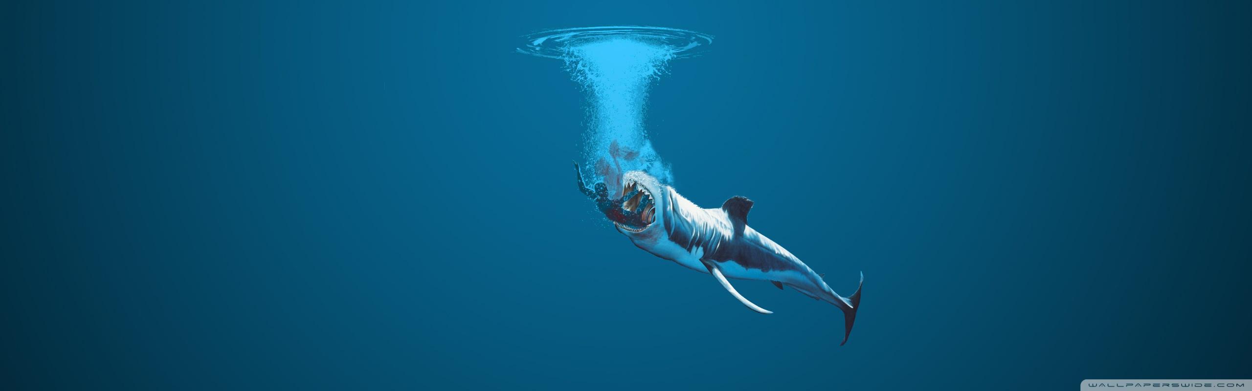 Shark Dual Monitor Wallpapers - Top Free Shark Dual Monitor Backgrounds ...