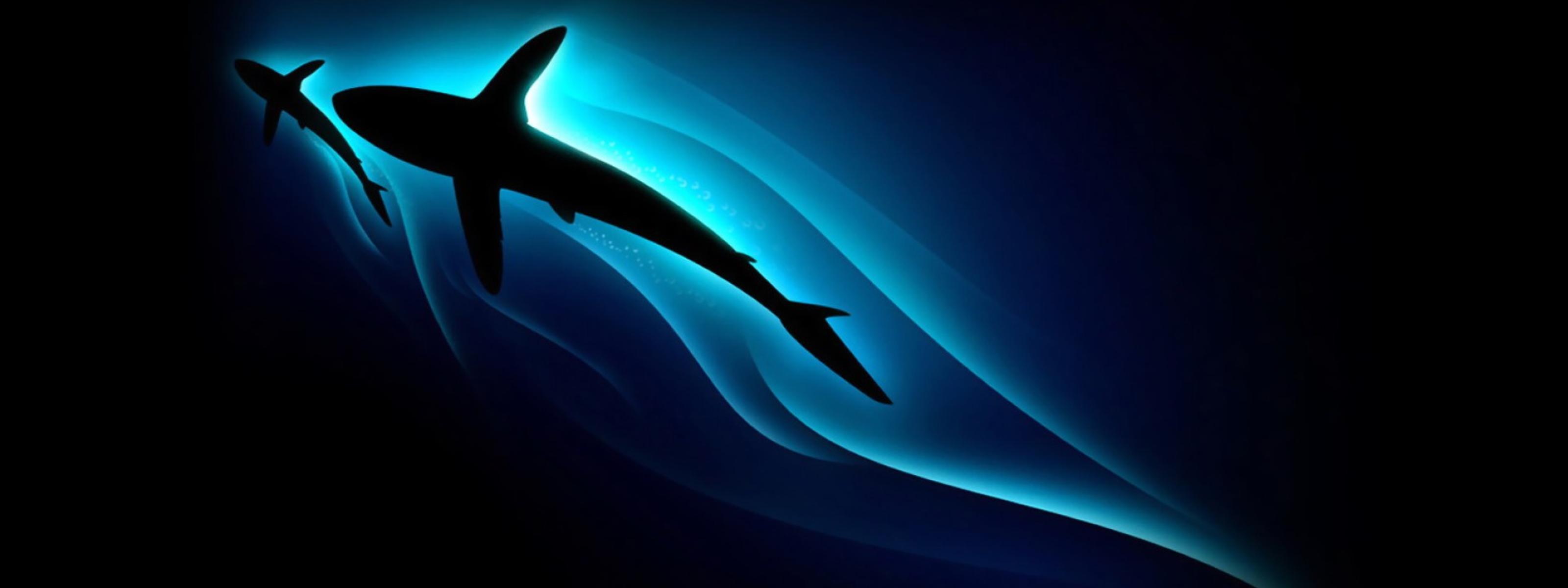 Shark Dual Monitor Wallpapers - Top Free Shark Dual Monitor Backgrounds ...