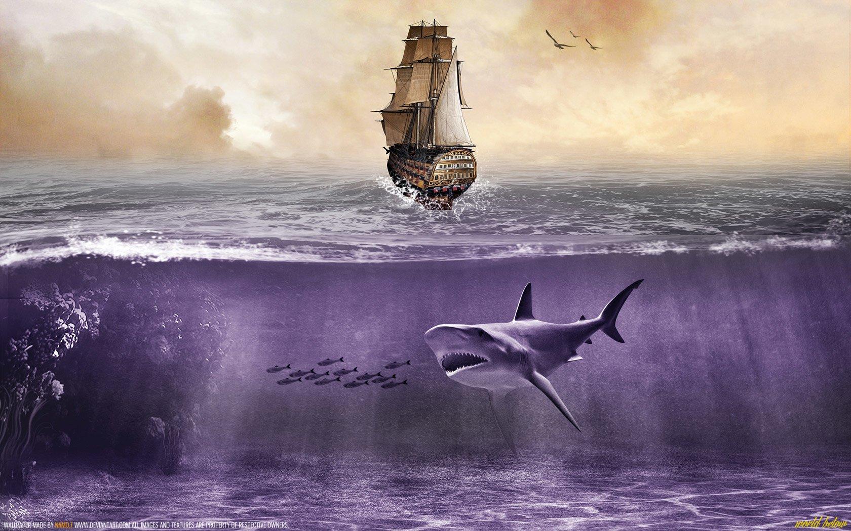 Shark Dual Monitor Wallpapers - Top Free Shark Dual Monitor Backgrounds ...