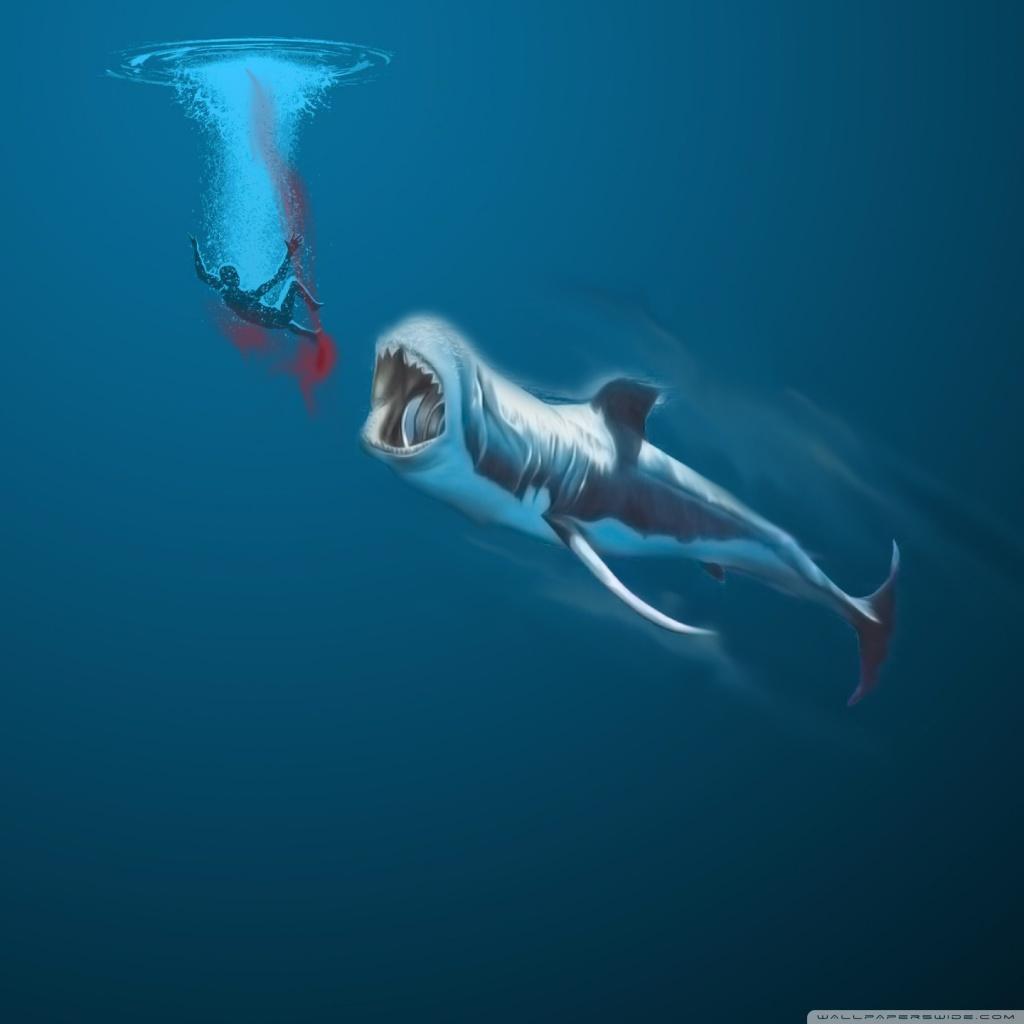 Shark Dual Monitor Wallpapers - Top Free Shark Dual Monitor Backgrounds ...