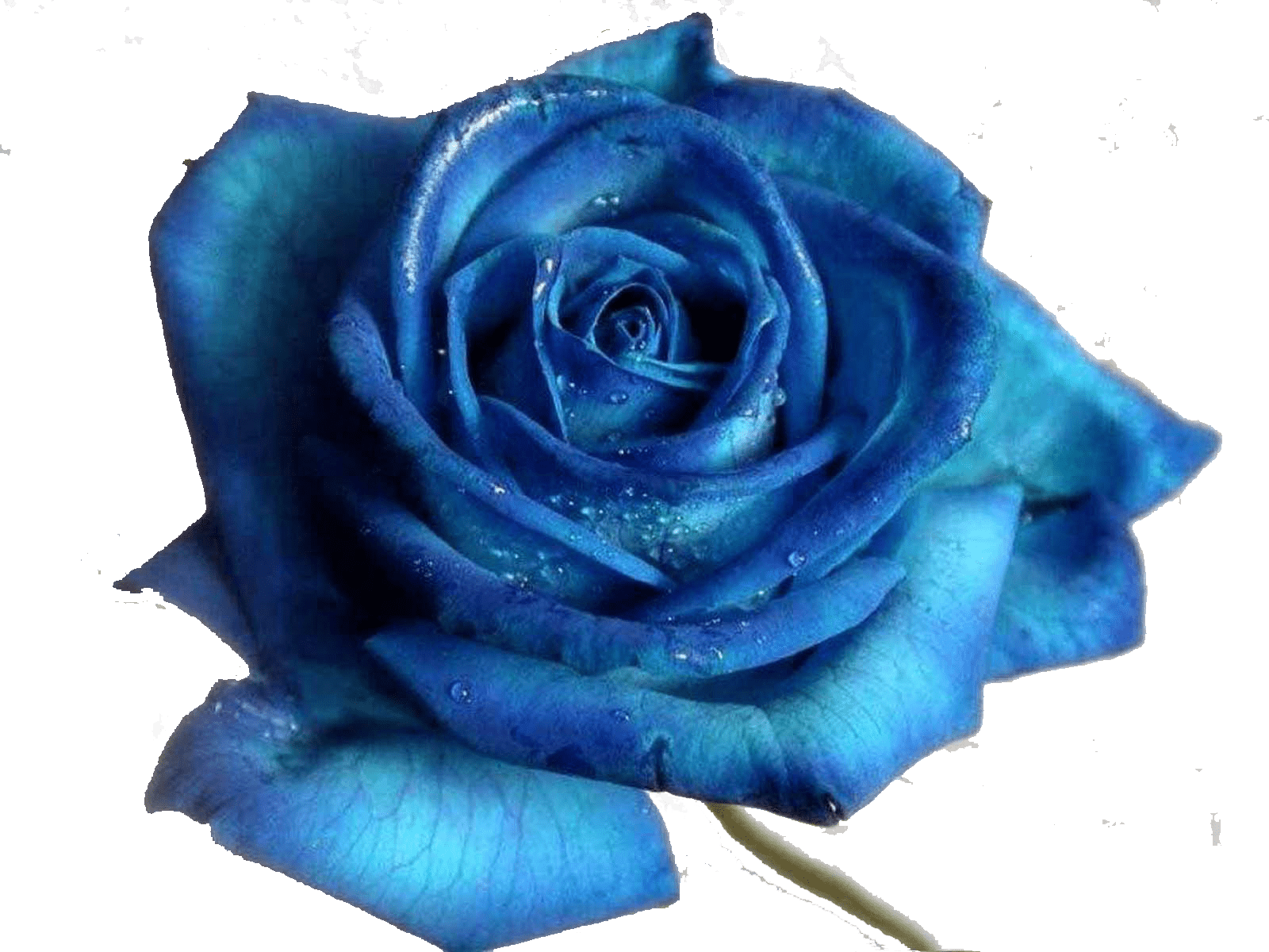 Unique Blue Wallpapers - Top Free Unique Blue Backgrounds - WallpaperAccess