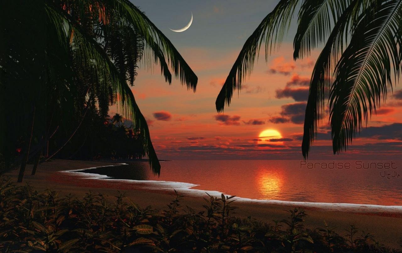 Tropical Beach Paradise Sunset Wallpapers - Top Free Tropical Beach ...