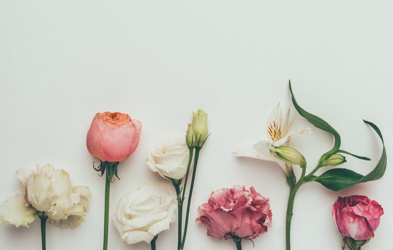 Pink Vintage Desktop Wallpapers - Top Free Pink Vintage Desktop ...