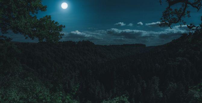 Night Green Forest Wallpapers - Top Free Night Green Forest Backgrounds ...