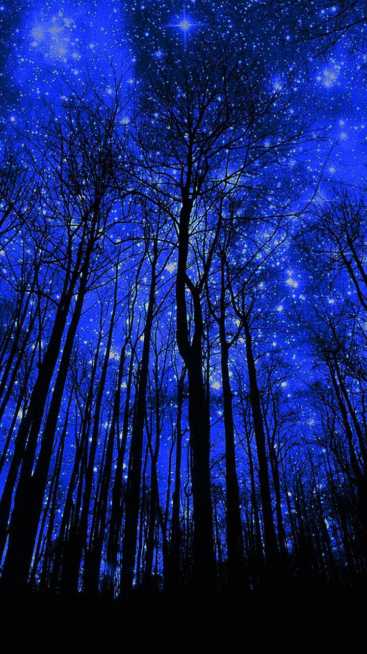 Beautiful Night Forest Wallpapers - Top Free Beautiful Night Forest ...